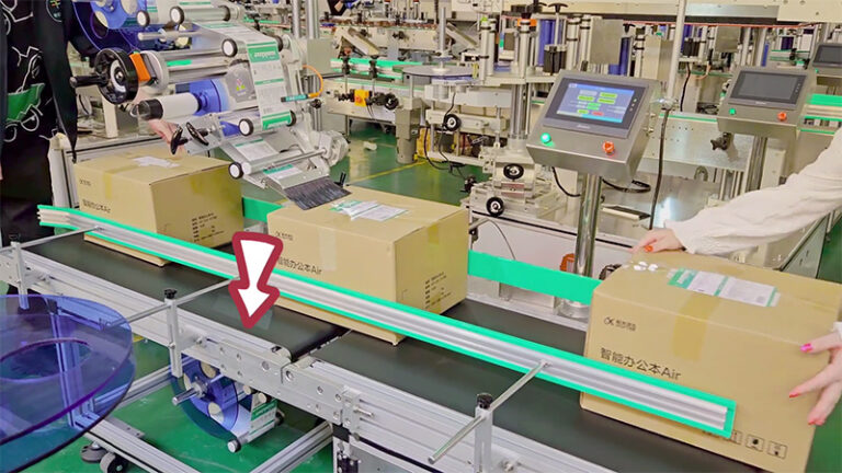 Carton Labeling Machine, Case & Carton Labeller Machine - VKPAK