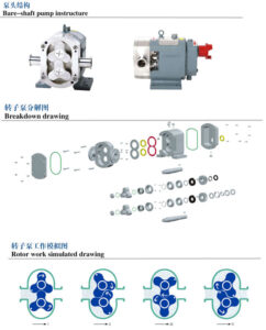 Automatic Rotary Lobe Pump Filling Machine - VKPAK
